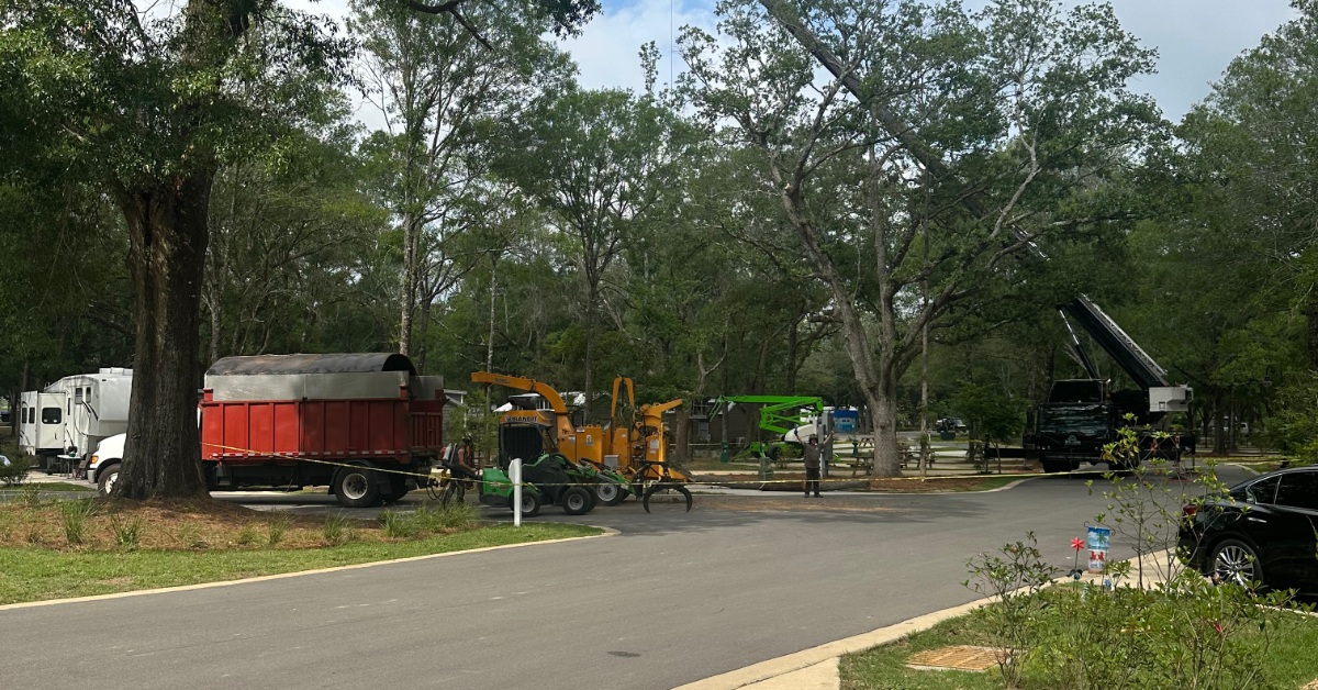 Brush Hogging & Mulching in Northwest Florida | D’s Trees