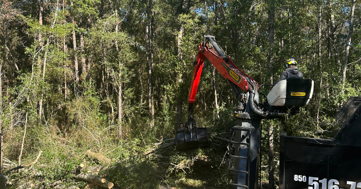 Lot Clearing & Land Clearing in Northwest Florida | D’s Trees