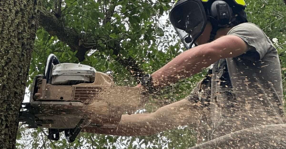 Tree Service in Pensacola FL | Certified Local Arborists